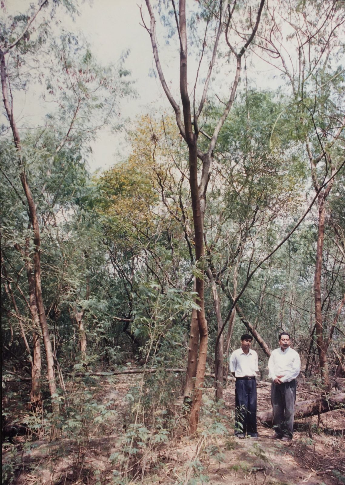 Prof. Aloke Kumar - Swabhumi